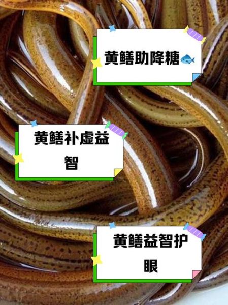 黄鳝壮阳功效大吗_黄鳝怎么吃最补肾-第2张图片-山城妙识