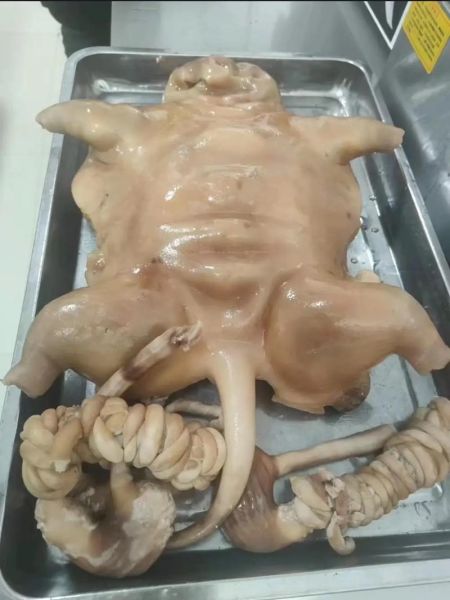 老公吃了狗肉更厉害了_真的假的-第1张图片-山城妙识