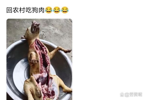 老公吃了狗肉更厉害了_真的假的-第2张图片-山城妙识