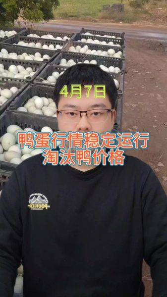 鸭蛋价格今日多少钱一斤_鸭蛋行情今日报价-第2张图片-山城妙识