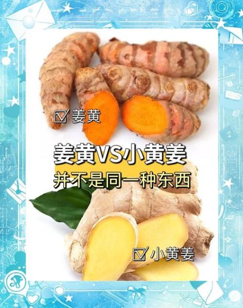 黄姜的功效与作用有哪些_黄姜和生姜的区别-第2张图片-山城妙识