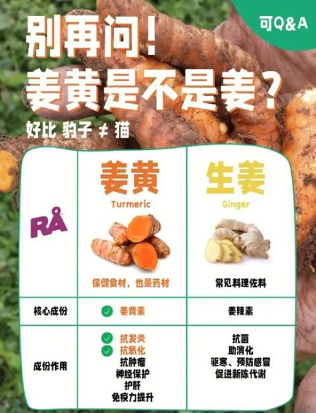 黄姜的功效与作用有哪些_黄姜和生姜的区别-第1张图片-山城妙识