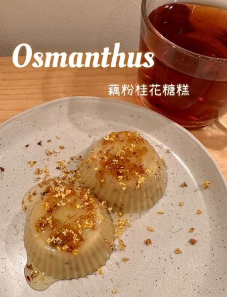 藕粉桂花糖糕红楼梦_做法与典故-第2张图片-山城妙识