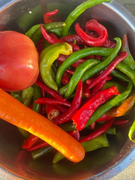 鲜辣椒怎么熬辣椒酱_辣椒酱的做法步骤-第3张图片-山城妙识