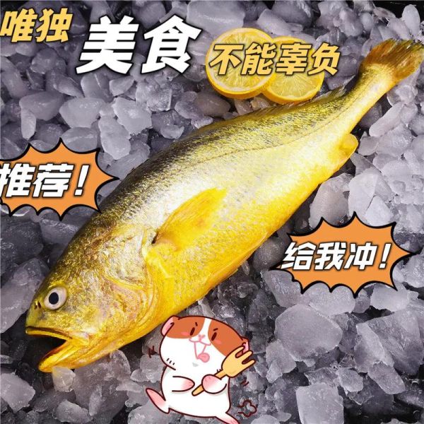 黄鱼视频2020怎么下载_黄鱼视频2020最新地址在哪-第2张图片-山城妙识