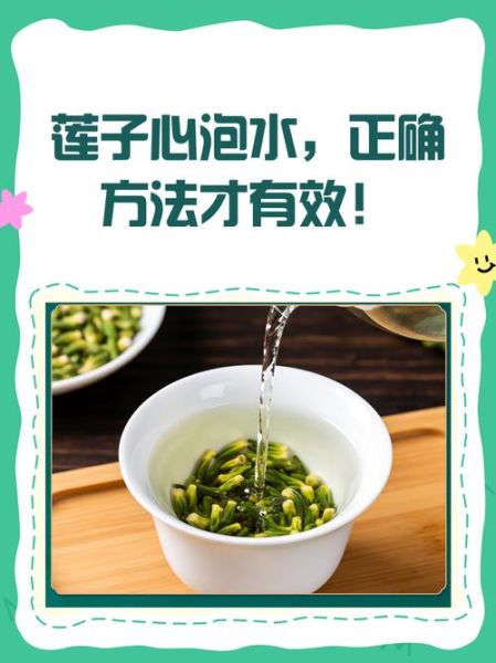 莲子心泡水喝的功效_莲子心去痘吗-第3张图片-山城妙识