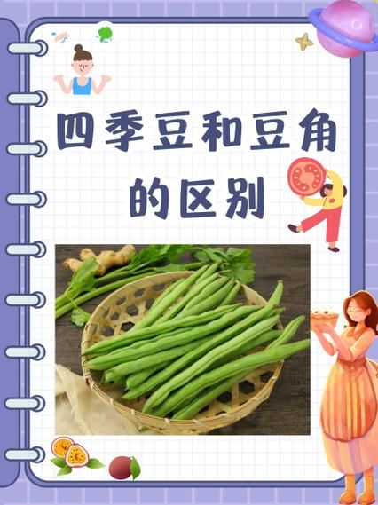 豇豆和四季豆的区别_哪个更营养-第1张图片-山城妙识