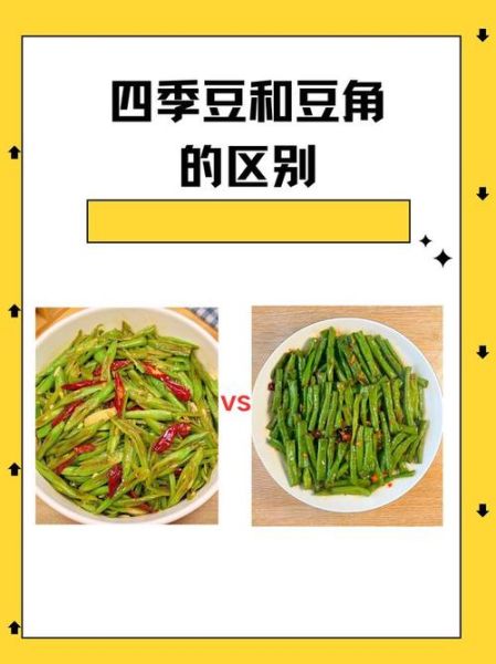 豇豆和四季豆的区别_哪个更营养-第2张图片-山城妙识