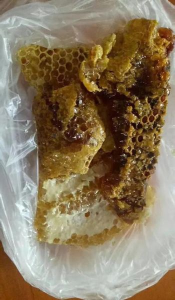 龙眼蜜和荔枝蜜哪个好_区别与选购指南-第1张图片-山城妙识