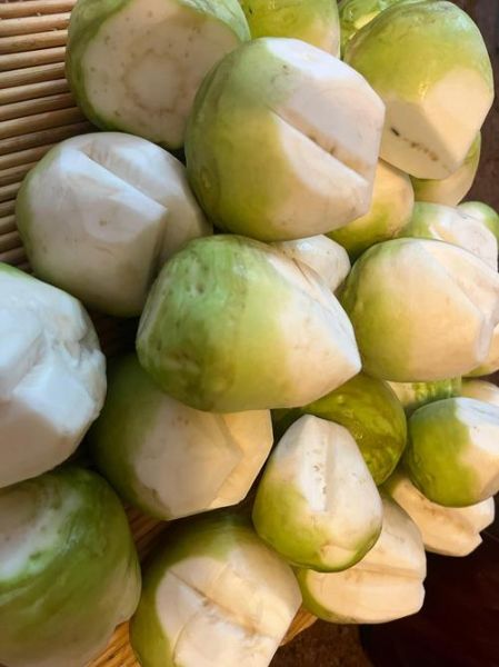 芥菜疙瘩什么时候种_芥菜疙瘩怎么种-第2张图片-山城妙识