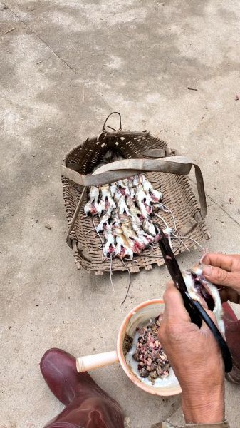 龙岩老鼠干是什么_龙岩老鼠干怎么吃-第2张图片-山城妙识