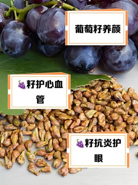 葡萄籽的功效与作用_葡萄籽的禁忌人群有哪些-第1张图片-山城妙识