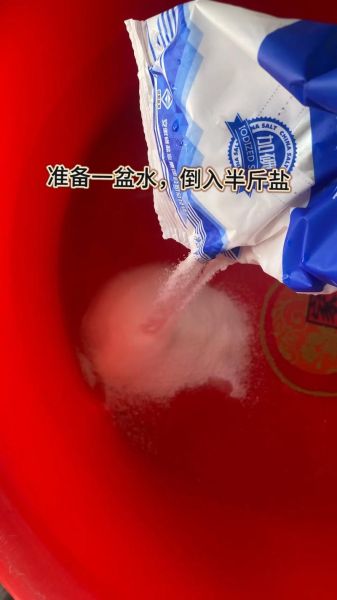 酱油腌蒜头怎么做_酱油腌蒜头能放多久-第3张图片-山城妙识