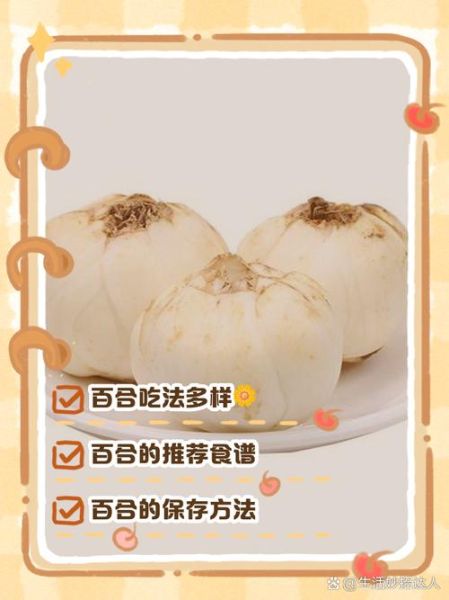 鲜百合怎么吃法最好_鲜百合怎么吃最营养-第1张图片-山城妙识