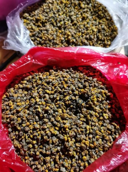 野菊花怎么处理可以泡茶喝_野菊花晒干后怎么保存-第2张图片-山城妙识