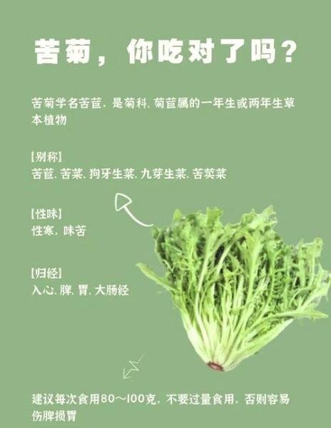 苦苣菜怎么做好吃_苦苣菜图片做法大全-第3张图片-山城妙识 苦苣菜怎么做好吃_苦苣菜图片做法大全-第3张图片-山城妙识