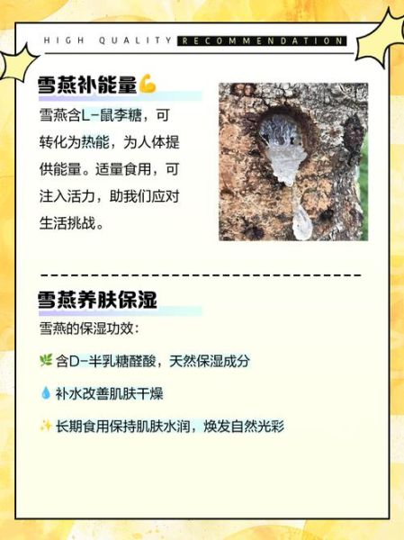 长期吃雪燕的副作用_雪燕吃多了会怎样-第3张图片-山城妙识