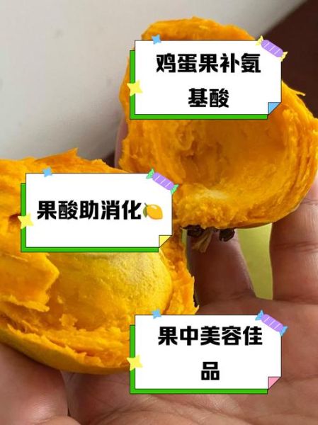 蛋黄果怎么催熟_蛋黄果放几天能熟-第1张图片-山城妙识 蛋黄果怎么催熟_蛋黄果放几天能熟-第1张图片-山城妙识