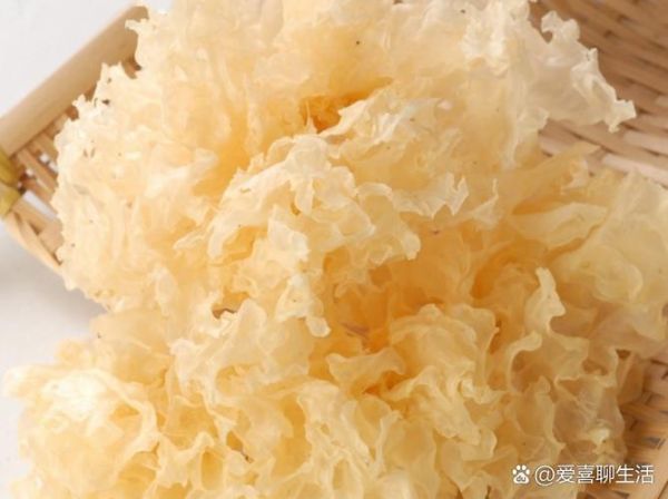 银耳泡发10分钟可以吗_银耳快速泡发技巧-第1张图片-山城妙识 银耳泡发10分钟可以吗_银耳快速泡发技巧-第1张图片-山城妙识