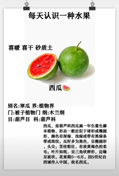 野西瓜的功效与作用_野西瓜能治什么病-第2张图片-山城妙识