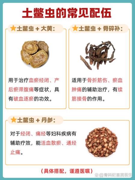 骨折吃土鳖的最佳时间_土鳖虫服用多久见效-第1张图片-山城妙识