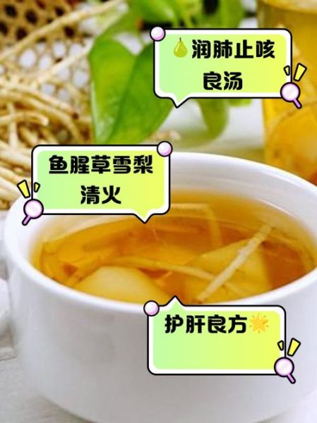 鱼腥草炖鸡汤的功效_鱼腥草炖鸡汤适合什么人喝-第2张图片-山城妙识 鱼腥草炖鸡汤的功效_鱼腥草炖鸡汤适合什么人喝-第2张图片-山城妙识