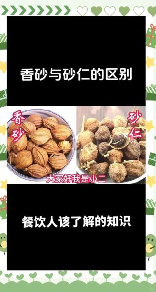 香砂图片_香砂和砂仁的区别-第2张图片-山城妙识