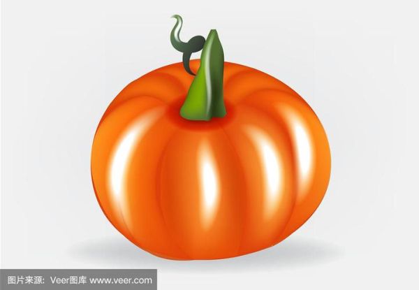 pumpkin怎么读_pumpkin发音音标-第3张图片-山城妙识 pumpkin怎么读_pumpkin发音音标-第3张图片-山城妙识