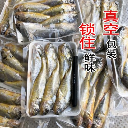 黄鱼视频2020最新版本怎么下载_黄鱼视频2020最新版本安全吗-第3张图片-山城妙识 黄鱼视频2020最新版本怎么下载_黄鱼视频2020最新版本安全吗-第3张图片-山城妙识