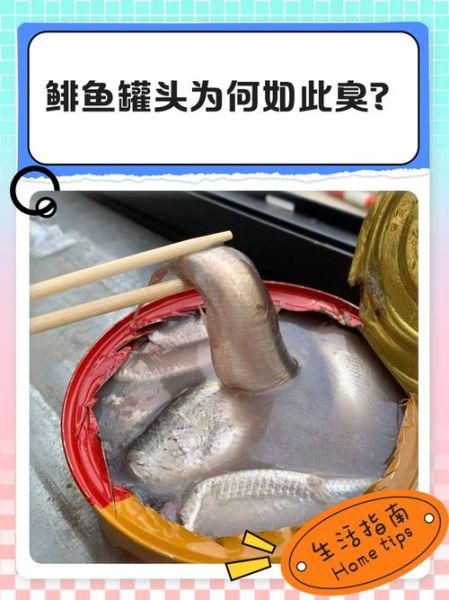 鲱鱼罐头有多臭_为什么鲱鱼罐头这么臭-第1张图片-山城妙识