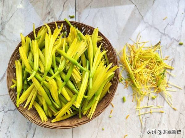 炒鲜黄花菜要不要焯水_炒鲜黄花菜怎么炒才脆嫩-第2张图片-山城妙识