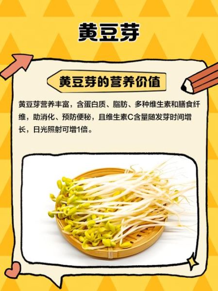 黄豆芽怎么发最快_黄豆芽的营养价值-第3张图片-山城妙识 黄豆芽怎么发最快_黄豆芽的营养价值-第3张图片-山城妙识