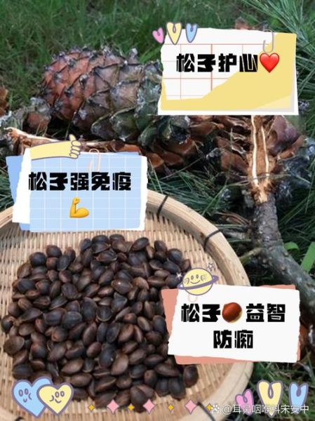 生松子和熟松子哪个营养高_生松子熟松子功效区别-第3张图片-山城妙识 生松子和熟松子哪个营养高_生松子熟松子功效区别-第3张图片-山城妙识