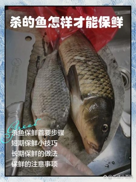 长鱼怎么杀_长鱼宰杀步骤-第3张图片-山城妙识 长鱼怎么杀_长鱼宰杀步骤-第3张图片-山城妙识