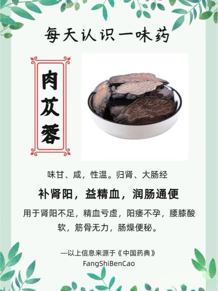 肉苁蓉怎么吃效果最好_肉苁蓉的正确吃法-第2张图片-山城妙识