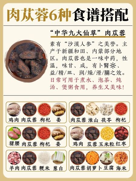 肉苁蓉怎么吃效果最好_肉苁蓉的正确吃法-第3张图片-山城妙识