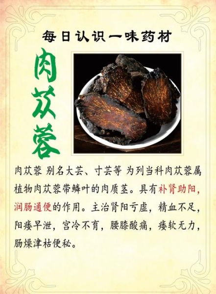 肉苁蓉怎么吃效果最好_肉苁蓉的正确吃法-第1张图片-山城妙识