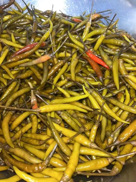 酱油泡椒怎么腌制_家常酱油泡椒做法-第1张图片-山城妙识