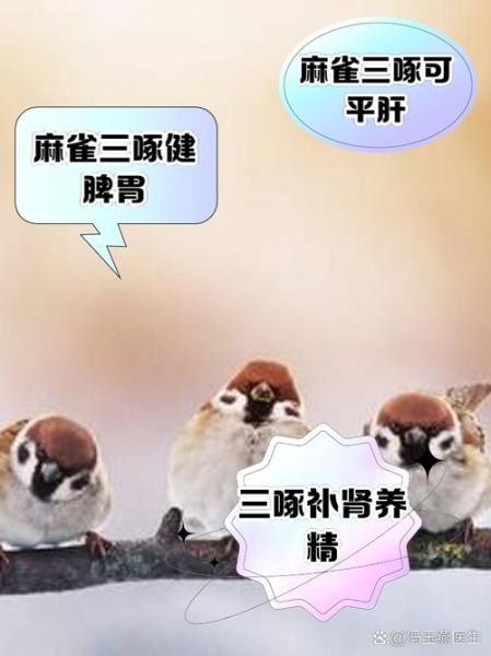 麻雀吃什么_麻雀最爱食物清单-第2张图片-山城妙识