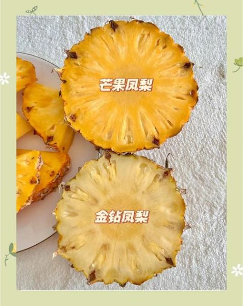 金菠萝是不是凤梨_区别与选购指南-第1张图片-山城妙识