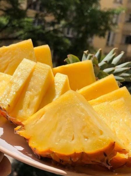 金菠萝是不是凤梨_区别与选购指南-第2张图片-山城妙识