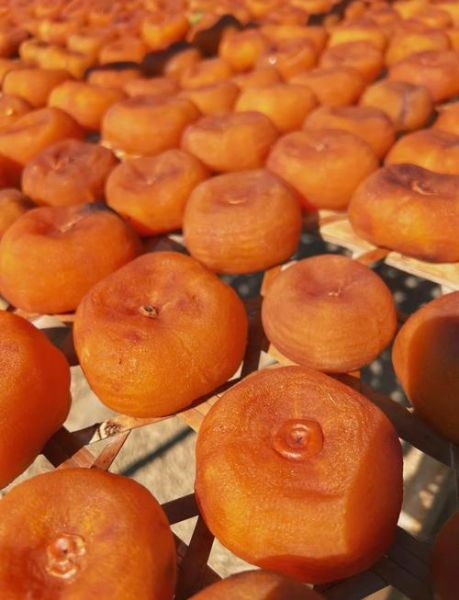 柿饼产地在哪里最好_哪里产的柿饼最正宗-第2张图片-山城妙识 柿饼产地在哪里最好_哪里产的柿饼最正宗-第2张图片-山城妙识