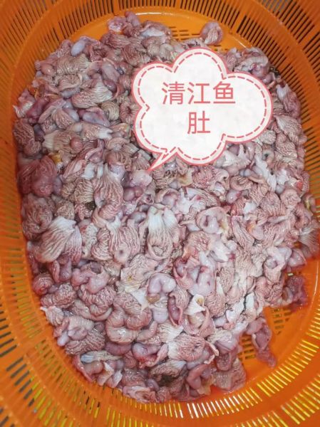 鱼肚价格是多少钱一斤_鱼肚多少钱一斤2024最新行情-第1张图片-山城妙识