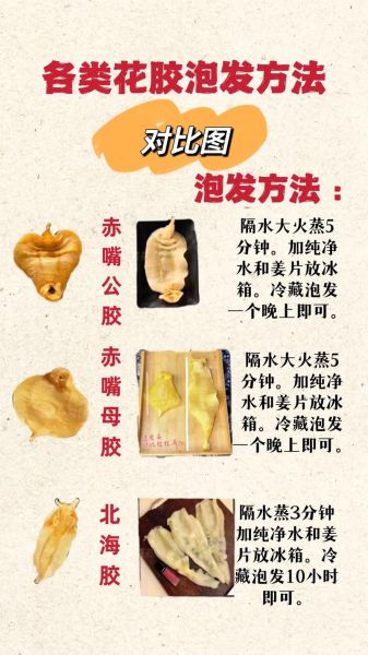 鱼胶怎么泡发_鱼胶泡发多久最好-第2张图片-山城妙识