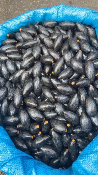 黑橄榄的功效与作用_黑橄榄怎么吃最健康-第3张图片-山城妙识