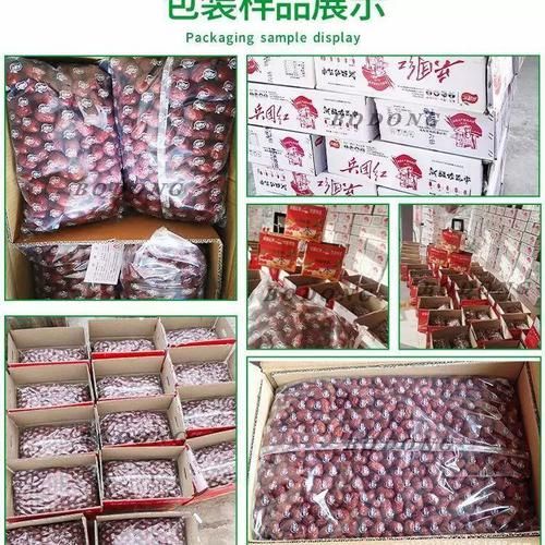 角瓜子图片_角瓜子怎么分辨真假-第1张图片-山城妙识