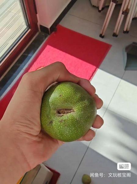 青皮核桃文玩怎么阴干_青皮核桃阴干需要多久-第2张图片-山城妙识