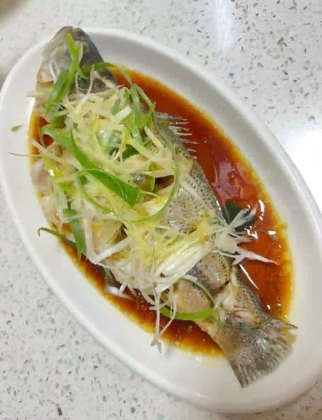 鲈鱼和多宝鱼哪个营养价值高_孕妇吃哪种更好-第3张图片-山城妙识