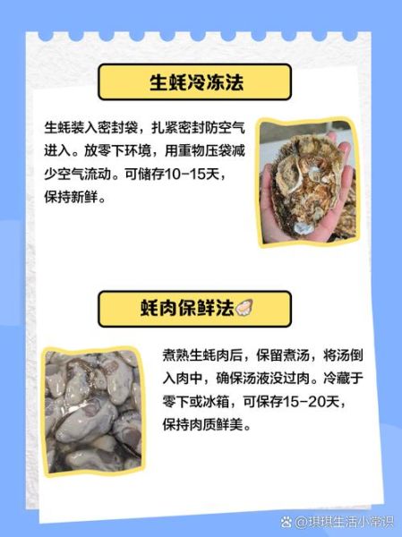 生蚝怎么保存_生蚝可以生吃吗-第1张图片-山城妙识