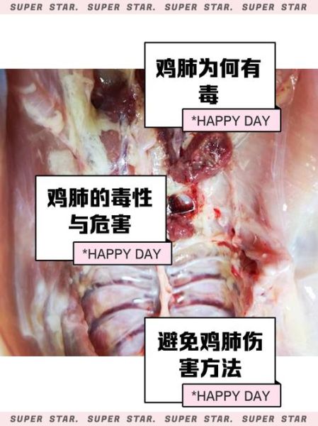 鸡肺图片_鸡肺能吃吗-第1张图片-山城妙识 鸡肺图片_鸡肺能吃吗-第1张图片-山城妙识